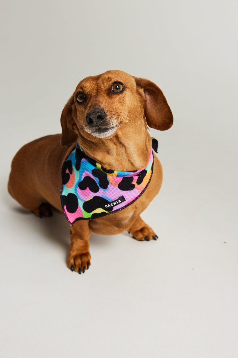 Cotton Pyjamas, Sleepwear & Nightdresses in Australia – CACHIA – CACHIA ...