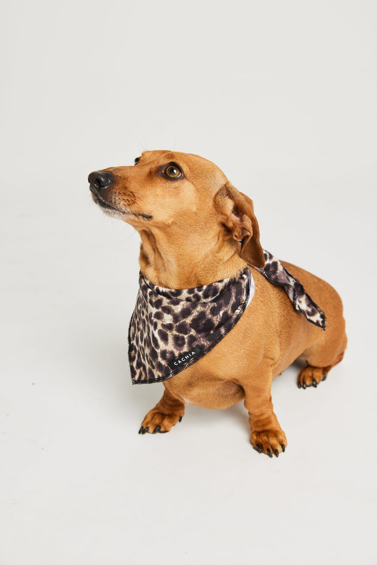 Best Sellers | CACHIA Sleepwear & Loungewear – Page – CACHIA SHOP